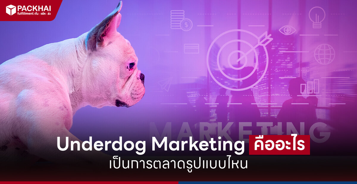 Underdog Marketing = กลยุทธ์การตลาดที่สร้างภาพลักษณ์ ยุคใหม่
